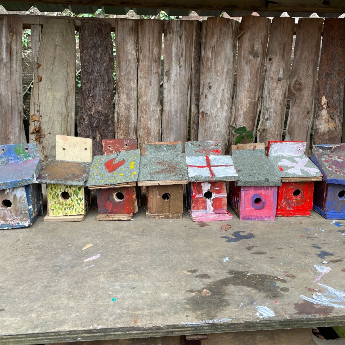 Michael Hall - Class 3 Bird Boxes