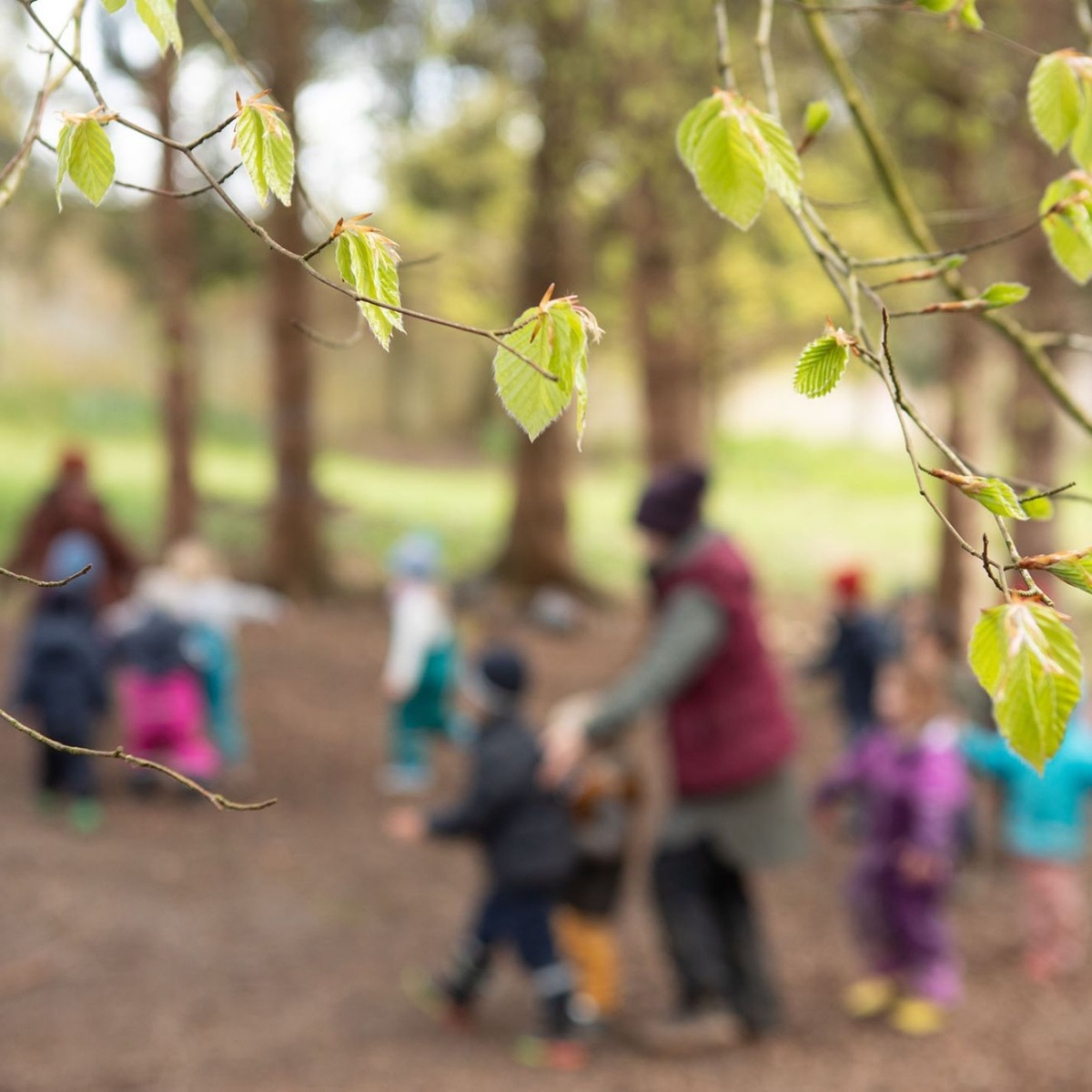 Michael Hall - Waldorf Forest Kindergarten