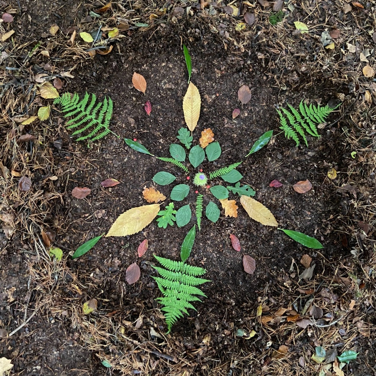 Michael Hall - Class 5b Mandalas